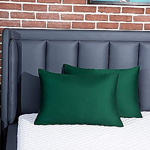 BEIJOEY 100% Mulberry Silk Pillowcase 2 Pack for Hair and Skin,with Hidden Zipper,Both Sides 19 Momme 600 Thread Count Natural Silk Pillow Cover,Soft Breathable Smooth (Dark Green, Standard 20''x26'')