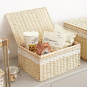 Rattanzenith Foldable Basket with Lid Large Storage Bin with Handle & Liner Paper Rope Woven Basket for organizing Clothes Toy Blanket Shelf Basket for Closet Organizers and Storage (Beige, Large)