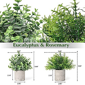 FIAHOSEY Set of 4 Fake Plant Indoor, Artificial Potted Eucalyptus Rosemary Mini Succulents Faux Plants in Paper Pulp Pots for Home Decor Living Room Bedroom Desktop Bookshelf Decoration
