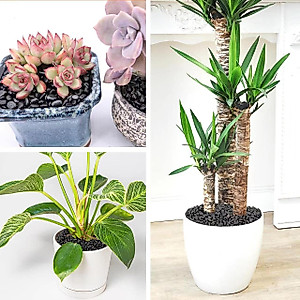 3.3 lb Black Rock, Decorative Polished Pebbles for Plants, Landscapes, Gardens, Fish Tanks, vase fillings, etc, 0.1 to 0.3 inches