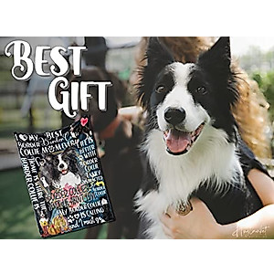 Border Collie Gifts, Border Collie Blanket for Border Collie Mom & Dad, Cute & Unique Border Collie Design, Throw Blanket Gifts for Dog Lovers, Family, Friends, Flannel Plush Blankets - 50"x 65"
