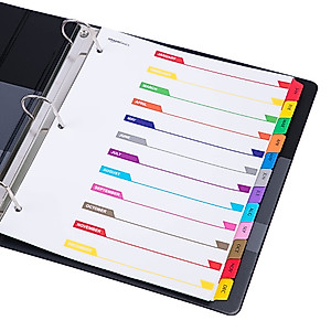 Amazon Basics 12 Tab Monthly Dividers for 3 Ring Binder, Customizable Table of Contents Page, Multicolor, 10-Pack