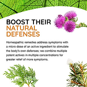 T-Relief Pet Allergy Support for Dogs & Cats Itchy Relief Supports Healthy Skin & Coat Natural Medicine Helps Soothe Hot Spot Itching Paws Licking Runny Nose Sneezing Watery Eyes - 90 Tablets