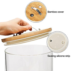 Rice Dispenser 5L, Grain Dispenser Glass Bucket, Cereal Dispenser Countertop for Kitchen and Pantry Organization, Large Rice Storge Container for Dry Food