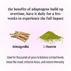 Moment Adaptogen Drink (Shark Tank) - SPARKLING Combo | Cherry Hibiscus, Lychee Mint, Plum Ginseng | L-Theanine & Ashwagandha for Calm & Clarity | 0 Added Sugar, 0 Caffeine, 0 Alcohol | 12-pack