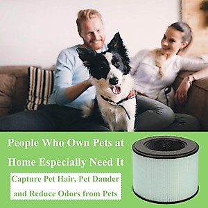 GuanQiao 2 Pack Replacement HEPA Filter Compatible with PARTU BS-08, 3 in 1 Filtration High Efficient Activated Carbon HEPA Filter