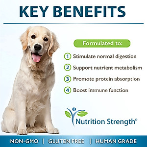 Nutrition Strength Papaya for Dogs Digestive Enzyme Complex to Support Normal Intestinal Function, Boost Immunity, with Organic Papaya Fruit + Papain, Protease & Amylase, 90 Soft Chews