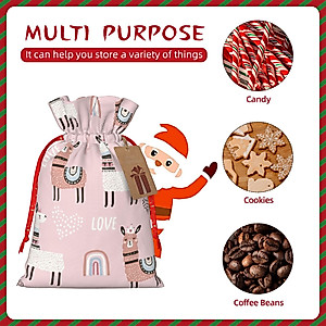 PAILON Cute Cartoon Llama Princess Christmas Gift Bags Cloth Small Gift Bags Portable Drawstring Christmas Gift Bags Reusable Christmas Gift Bag Xmas Gift Bags for Holiday Party Favor Bags