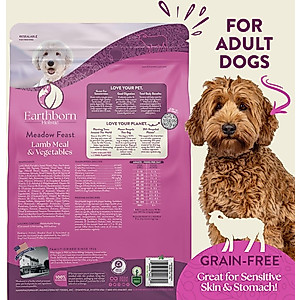 Earthborn Holistic Meadow Feast Grain-Free Natural Dry Dog Food (2 Bags - 50 Pounds Total)