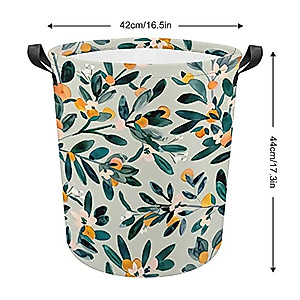 RENJUNDUN Laundry Hamper Basket Clementine Sprigs Laundry Bag Collapsible Oxford Cloth Stylish Home Storage Bin with Handles 17.3inch H x 16.5inchD