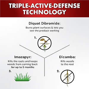 Spectracide One-Shot Weed & Grass Killer with AccuShot Sprayer, 1 Gallon, One Application Kills and Prevents Weeds for up to 5 Months