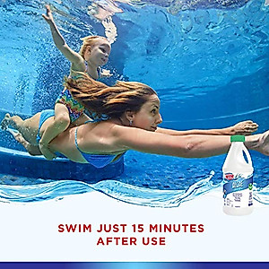 HTH 67037 Algae Guard Swimming Pool Algaecide Cleanser, 38 fl oz