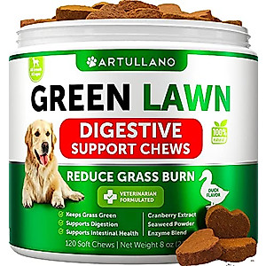 Grass Burn Spot Chews for Dogs - Dog Pee Lawn Spot Saver Caused by Dog Urine - Grass Treatment Rocks - Cranberry + Digestive Enzymes - Dog Urine Neutralizer for Lawn