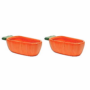 Kaytee Vege-T-Bowl, Carrot, 22-Ounces 2 Pack