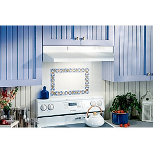 Broan-NuTone F403011 Insert with Light, Exhaust Fan for Under Cabinet Range Hood, 30-Inch, White on White