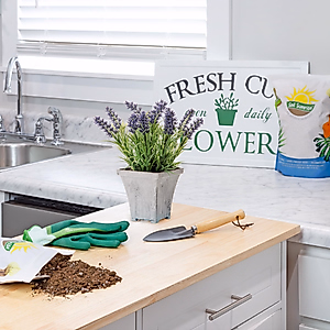 Lavender Potting Soil Mix (8 Quarts), Indoor/Outdoor Container Gardening Blend for Lavender Herb Plants