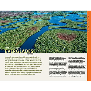 Fodor's Florida (Full-color Travel Guide)