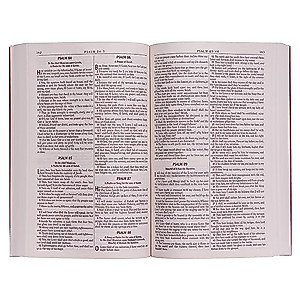 KJV Holy Bible, Gift and Award Bible - Softcover, King James Version, Burgundy (KJV Gift Award Editions)