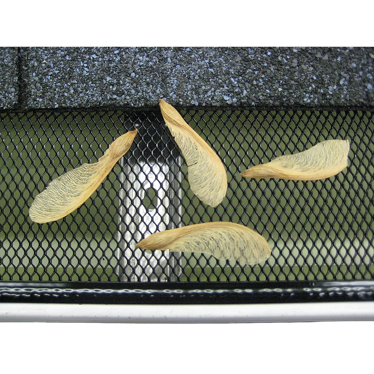 6" Small Hole Speed Screen / 6" Gutter Guard / 6" Gutter Protection Powder-coated Black (100ft/box)