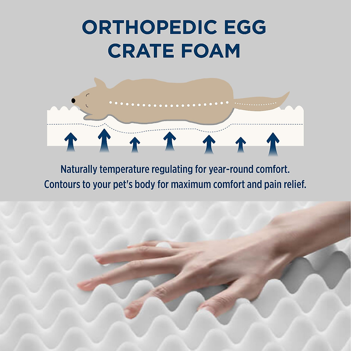 Bedsure Orthopedic Dog Bed for Medium Dogs - Supportive Egg Foam Dog Sofa, Bolster Couch Pet Bed with Removable Waterproof Washable Cover, Comfy Plush Velvet Fluff Surface, Nonskid Bottom, Charcoal