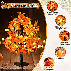 [ 2 Pack & Timer ] 24 Inch Lighted Maple Tree Fall Decorations with 48 LEDs Timer Battery Operated Artificial Autumn Tabletop Tree for Thanksgiving Harvest Indoor Home Decor