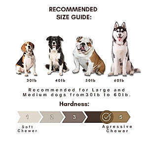 WhiteTail Naturals - Water Buffalo Horns for Dogs (Medium 3 Pack) All-Natural Dog Bone - Long Lasting Chew Bone for Aggressive Chewers and Teething Puppies