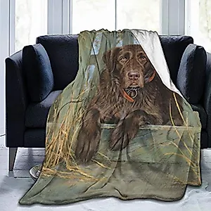 Yulimin Labrador Dog Lab Chocolate Cute Full Fleece Throw Cloak Wearable Blanket Nursery Bedroom Bedding Decor Decorations Queen King Size Flannel Fluffy Plush Soft Cozy Comforter Quilt