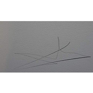 Vitraux in Four Sheets Puzzle of Life