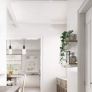 WISBEAM Pendant Lighting Fixture, Hanging Ceiling Lights with E26 Medium Base Max. 60 Watts, ETL Rated, Bulbs not Included, 1-Pack