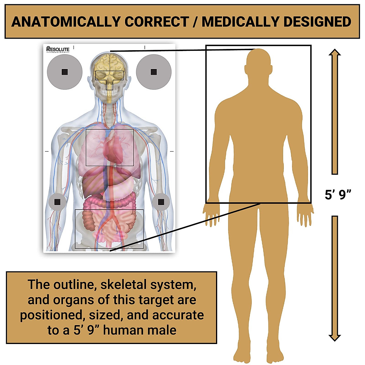RESOLUTE (25) 23x35 Medically Designed Shooting Targets For The Range, 100% Anatomical Shooting Target, Targets For Pistol Shooting, Rifle, Air Pistols, Pellet Gun, Bb Gun, Airsoft Rifles, Airsoft Gun