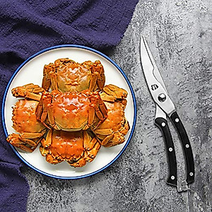 TUO Kitchen Shears - Heavy Duty Kitchen Scissors, Multi-functional Shears for Bone Poultry Meat Fish - German Steel & Pakkawood Handle with Safety Lock - Falcon Series with Gift Box