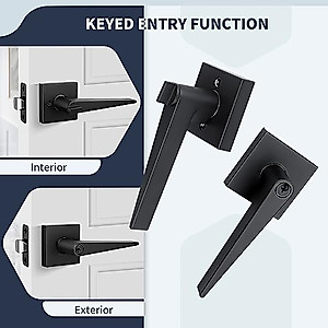LOQRON Heavy Duty Entrance Door Lever Keyed Entry Door Handle with Lock and Keys Reversible for Matte Black Handle for Bedroom, Office or Front Door