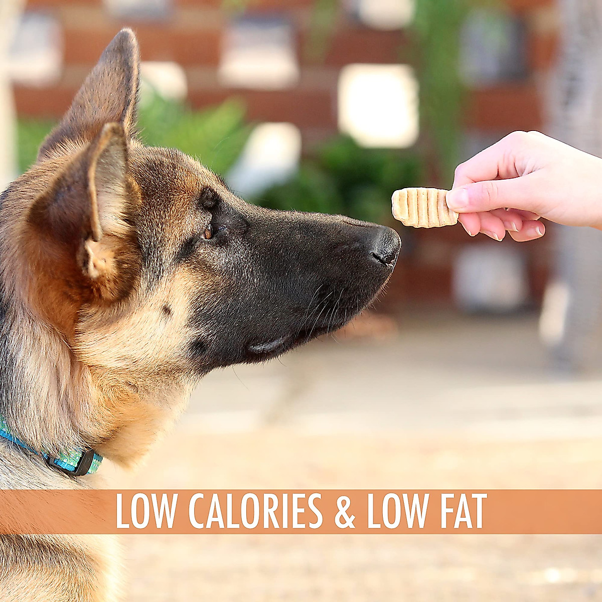 Wild Eats Sweet Potato Treats for Dogs – 12 oz. (Great Low Calorie, Low Fat Alternative to Traditional Dog Biscuits, Dog Cookies, and Dog Bones) Healthy Dog Treats Perfect Training Treats for Dogs