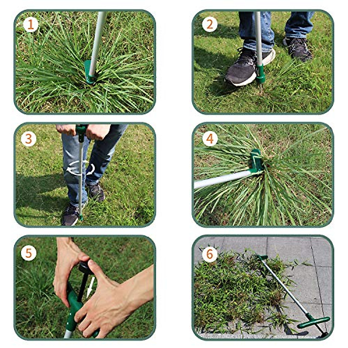 Walensee Weed Puller, Stand Up Weeder Hand Tool, Long Handle Garden Weeding Tool with 3 Claws, Hand Weed Hound Weed Puller for Dandelion, Standup Weed Root Pulling Tool and Picker, Grabber (1 Pack)
