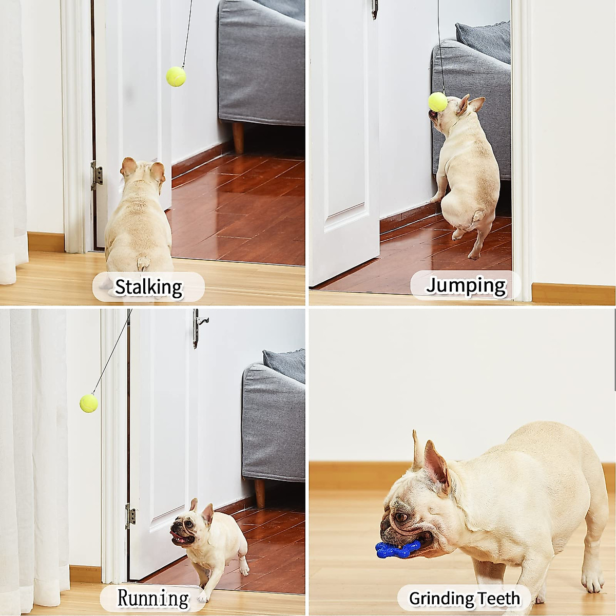 CZPET Puppy Toys 6PCS Set Puppy Chase Toys Pet Automatic Elastic Hanging Rope Door Interactive Energy Jump Exercise Toys Tennis Ball Knot Ring Chew Busy Dog Puppy Toys