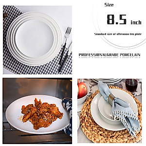 Ygmackin Amazon 8-Piece White Dinner Plates Set, Triple Layer Glass and Chip Resistant, Lightweight Round Plates,Dessert Plate, Dinnerware Set, Winter Frost White, 8.5 inches