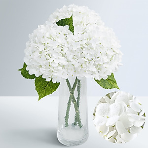 Waipfaru 21" Real Touch White Hydrangea Artificial Flowers with Long Stem & Leaves, Full Latex Faux Hydrangea Flowers for Home Decor Party Floral Arrangements Wedding Bouquets Centerpieces, 3Pcs
