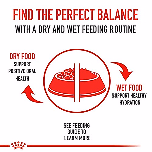 Royal Canin Indoor 7+ Adult Dry Cat Food, 5.5 lb bag