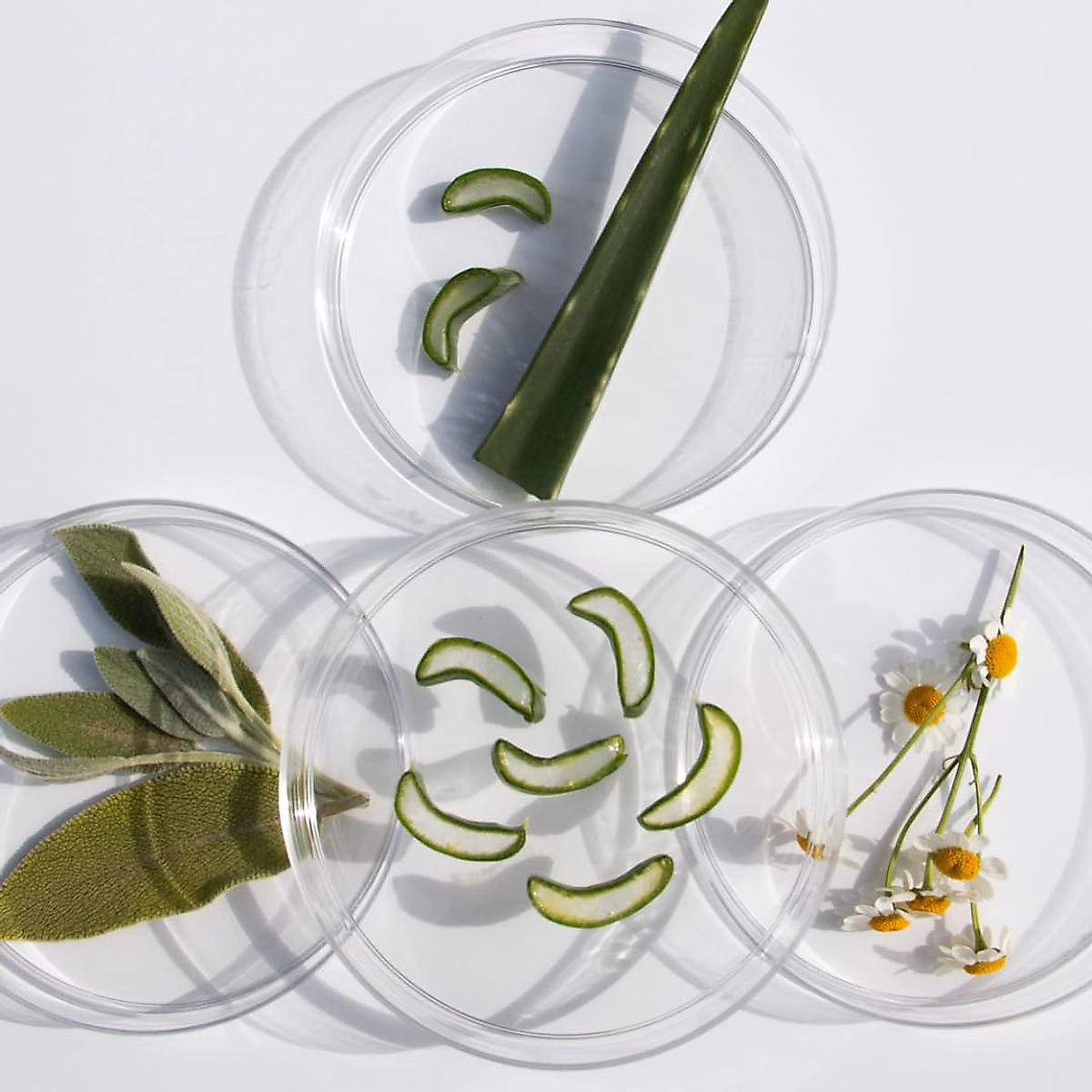 ORIGENERE Conditioner for Thinning Hair/Hairloss. All Natural Formula. Blend Of Saw Palmetto, Hops, Sage, Fenugreek, Provitamin B5, And Hydrolyzed Soy Protein.