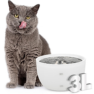 Standpoint Cat Water Fountain, 3L Ultra-Quiet Stainless Steel with White Bowl Dog & Cat Water Dispenser with Filter – Perfect for Pet Hydration