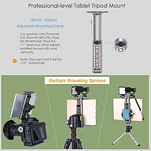 NICEYRIG Aluminum Tripod Mount for iPad Pro 12.9'' 11''/Air 10.9'' 10.5''/Mini 8.3'' 7.9'' Video Recording Vlog Vlogging Lives, Professional Tablet Holder with QR Plate for Arca-Swiss - 502
