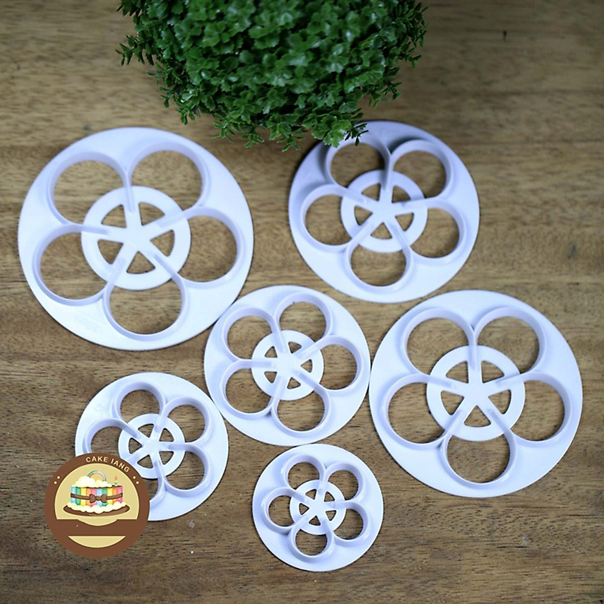 KALAIEN Rose Flower Cutters Set Gumpaste Flowers Modelling Tools for Cake Decorating Cookie Mold Sugarcraft Plunger Cutter Mold Set of 6