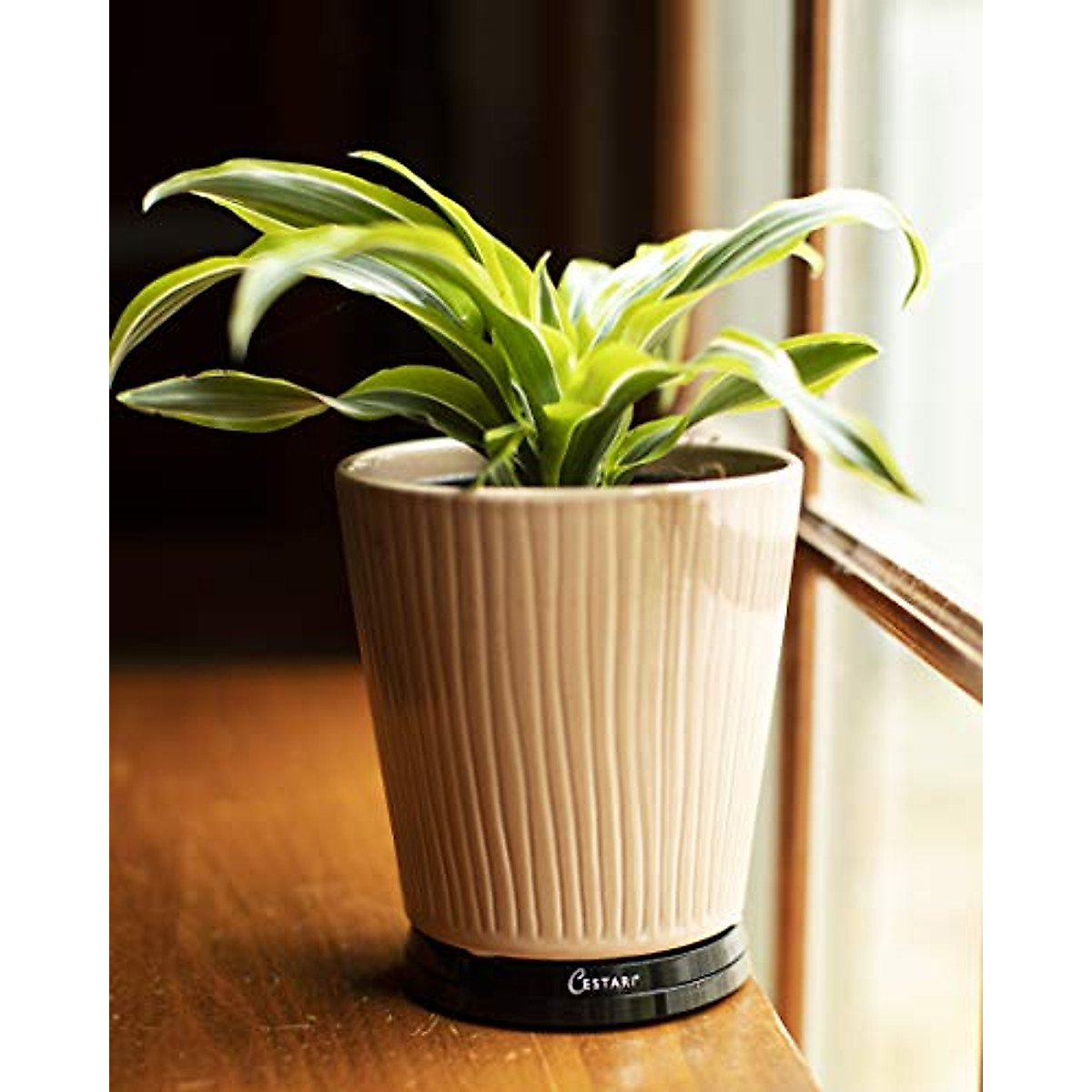 Mini Turntable: Lazy Susan, Cake Stand, Kitchen Organizer, Spice Organizer, Cupcake Decorating Turntable | Spinning Cookie Decorating Turntable, Revolving Swivel Stand | Silicone Non-Slip Grips