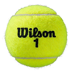 WILSON Roland Garros Clay Court Tennis Ball Case