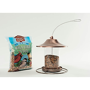 Wagner's 53002 Farmer's Delight Wild Bird Food with Cherry Flavor, 10-Pound Bag