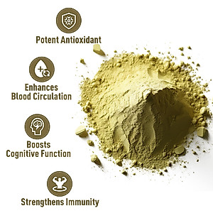 UNLEASH'D ORGANIC Organic Ginkgo Biloba Powder 16 oz Supports Brain Function and Mental Alertness Vegan Friendly Raw and Non-GMO