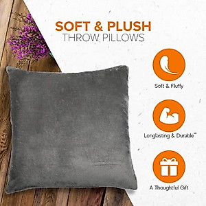 Cheer Collection Microsherpa Throw Pillow Set of 2 for Couch, Beds, Bedroom and Living Room - Ultra Soft and Fluffy, Elegant Home Decor, Velvet Stylish Accent Pillows - 18" x 18", Gray