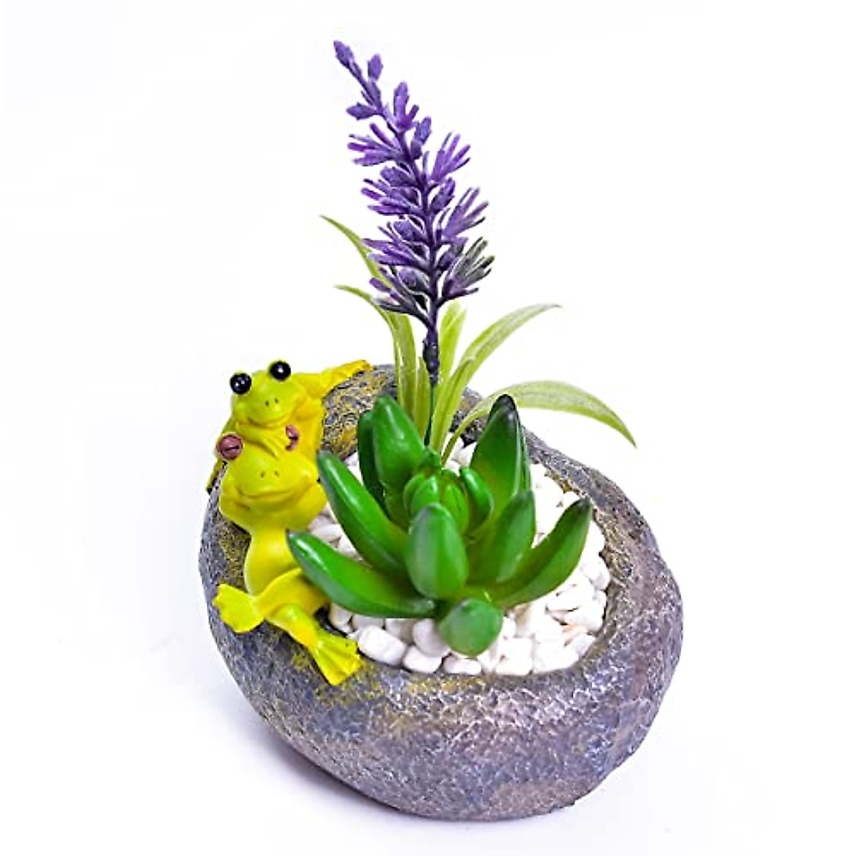 Novelty Cute Couple Frog Flowerpot with Drainer Garden Flowerpot Resin Succulent Potted Bonsai Plant Stand Home Desk Mini Ornaments Without Plants