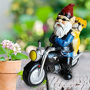 JHWKJS Garden Gnome with Lovely Dog Riding Motorcycle, Funny Outdoor Gnome Decoration Indoor Outdoor Lawn Figurines for Home Yard Décor
