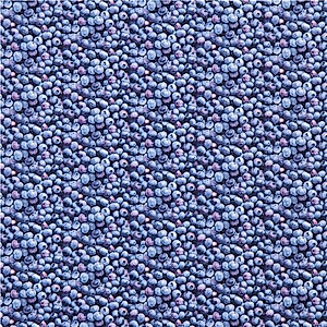 cotton fabric with packed blue and purple blueberries (per 0.5 yard unit)